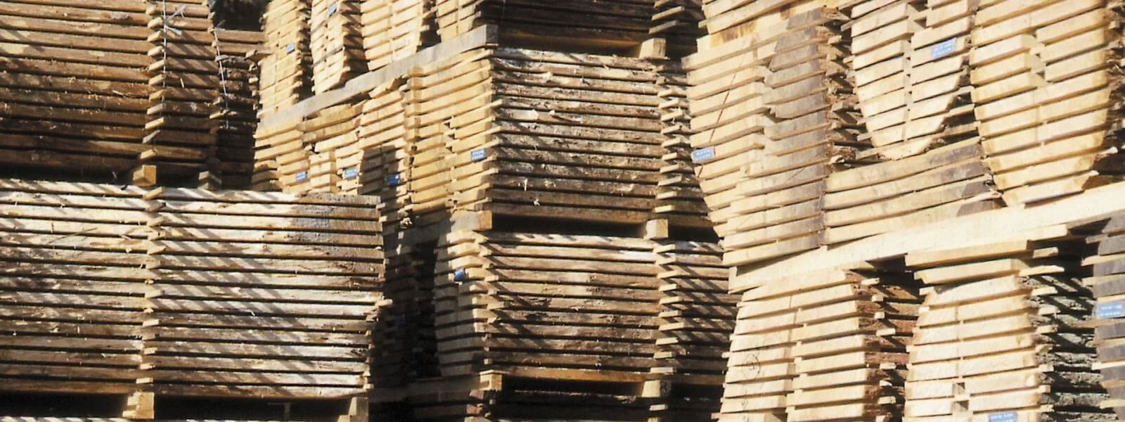 The Oak Drying Process for Outdoor Furniture Making | Gaze Burvill