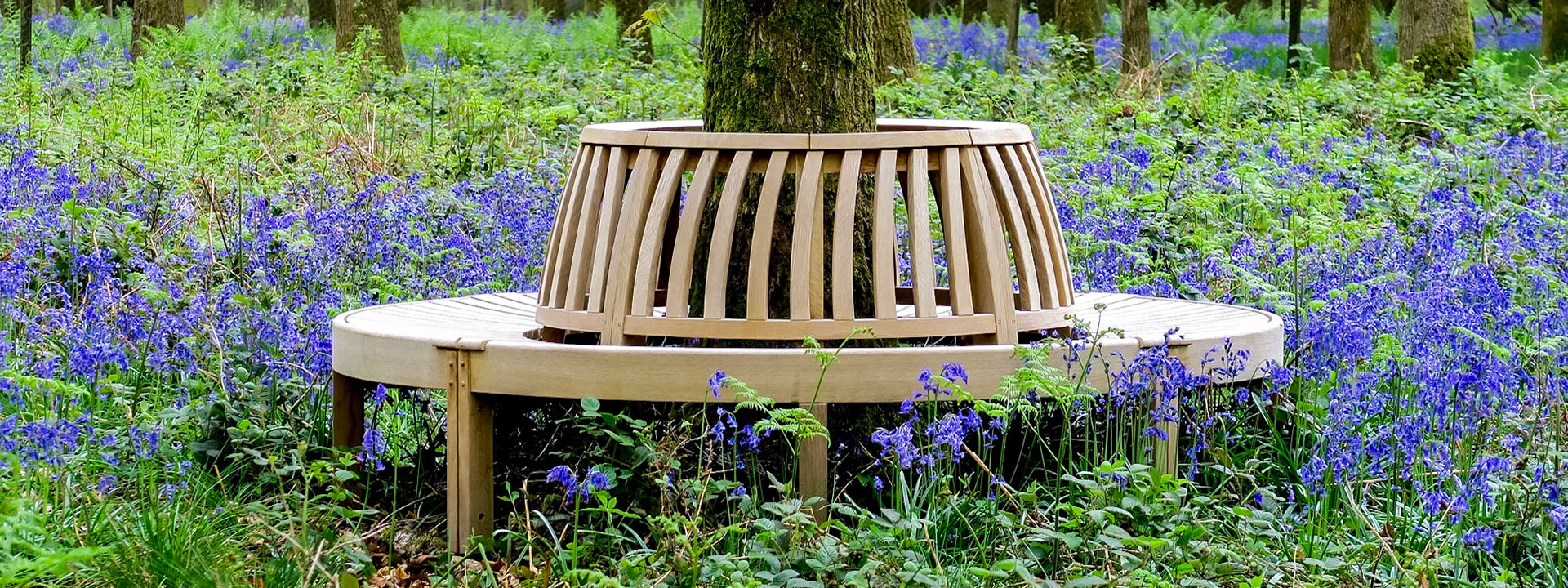 Woodland Heritage to launch Founders Appeal at RHS Chelsea Flower Show ...
